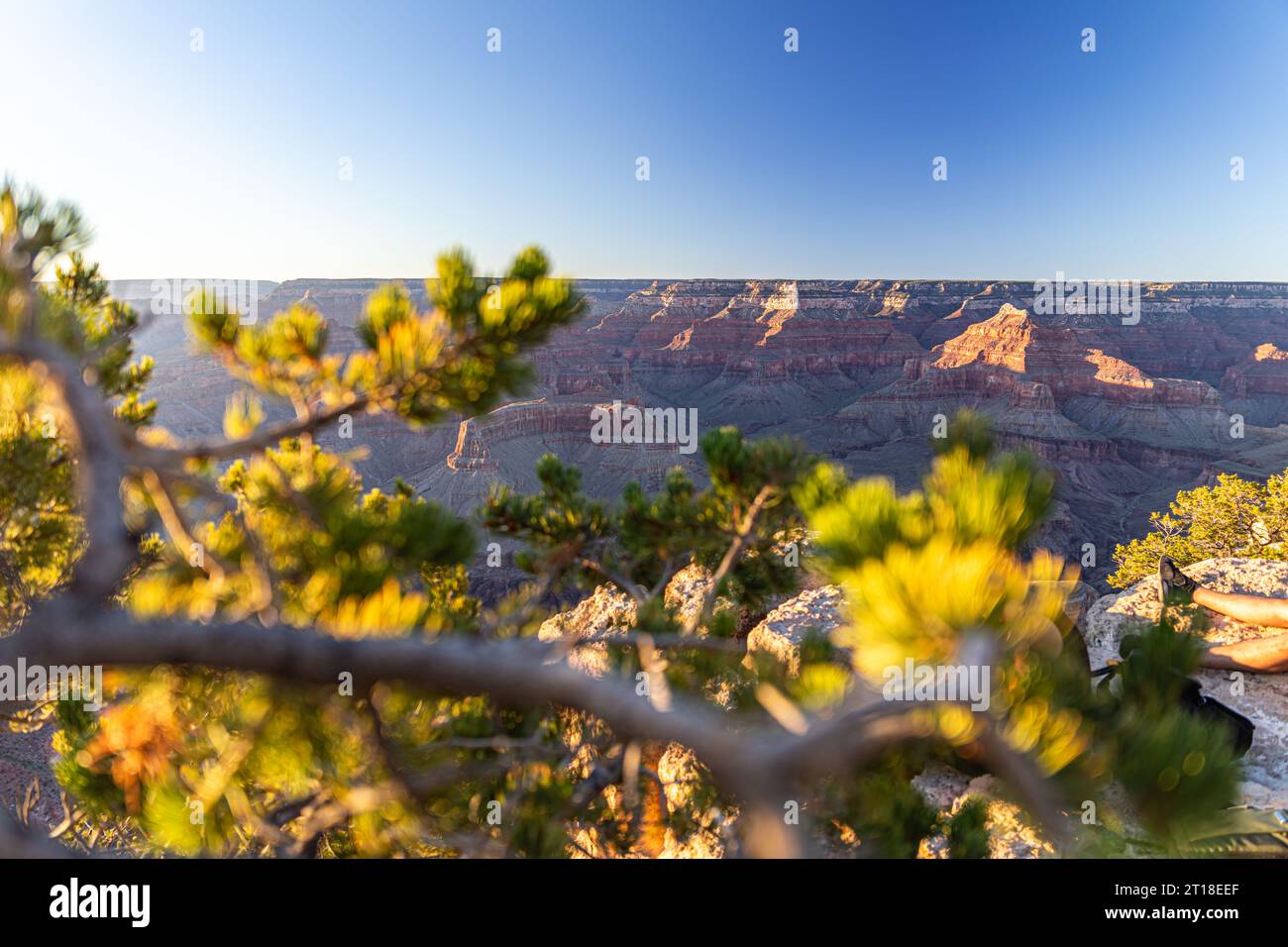 The Grand Canyon is a mesmerizing sight at sunset, where the vibrant ...