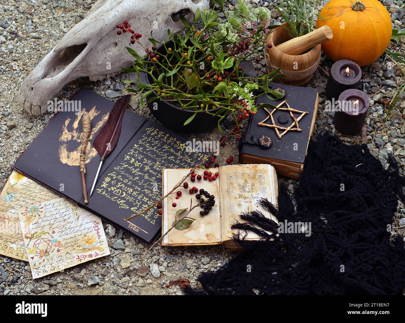 Scary skull with magic book of spell, candles and pumpkin. No foreign ...
