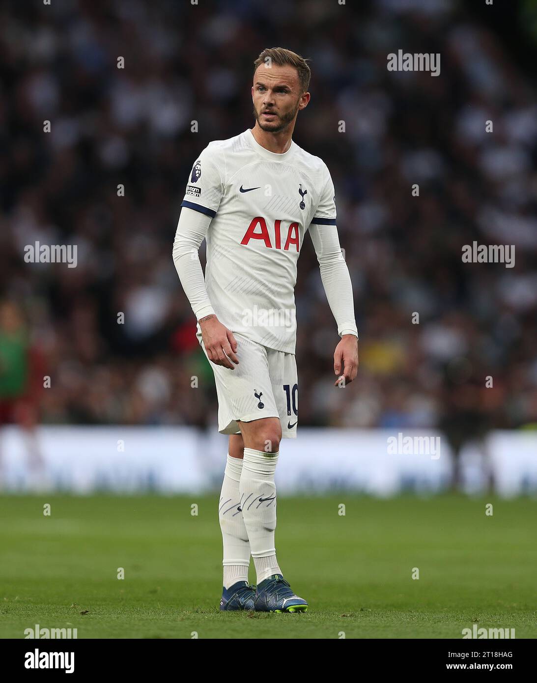 James Maddison of Tottenham Hotspur. - Tottenham Hotspur v Liverpool ...