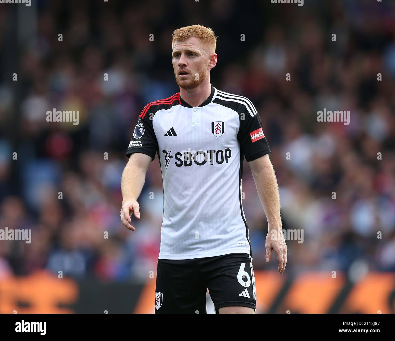 Harrison Reed of Fulham. - Crystal Palace v Fulham, Premier League ...