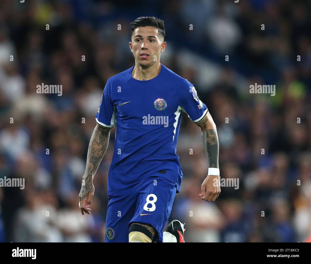 Enzo Fernandez of Chelsea. - Chelsea v Luton Town, Premier League ...