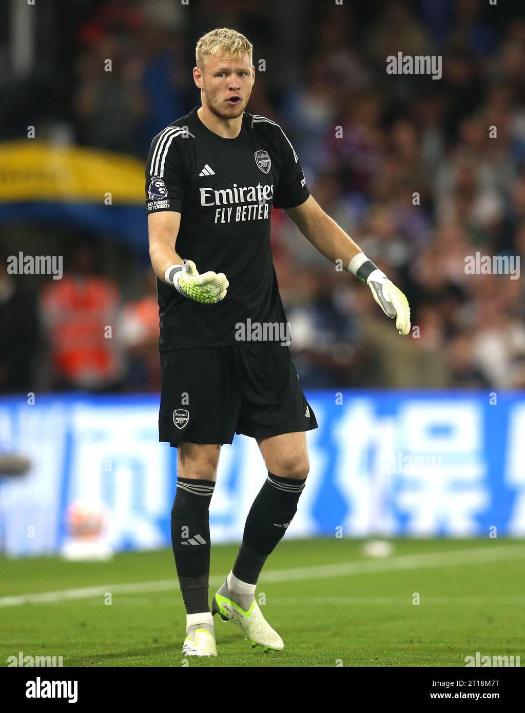 Aaron Ramsdale of Arsenal. - Crystal Palace v Arsenal, Premier League ...