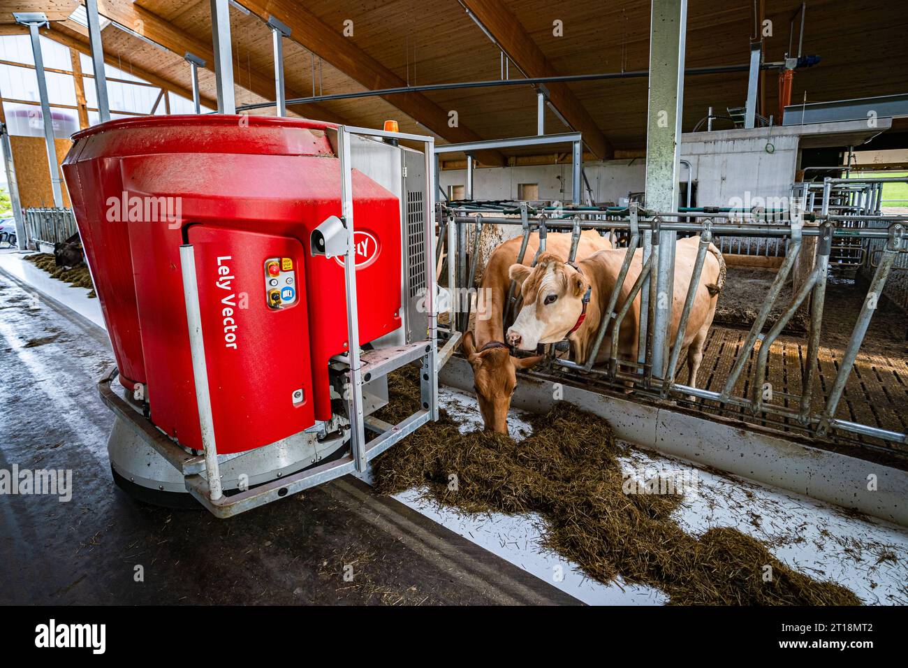 Rindviehstall hi-res stock photography and images - Alamy