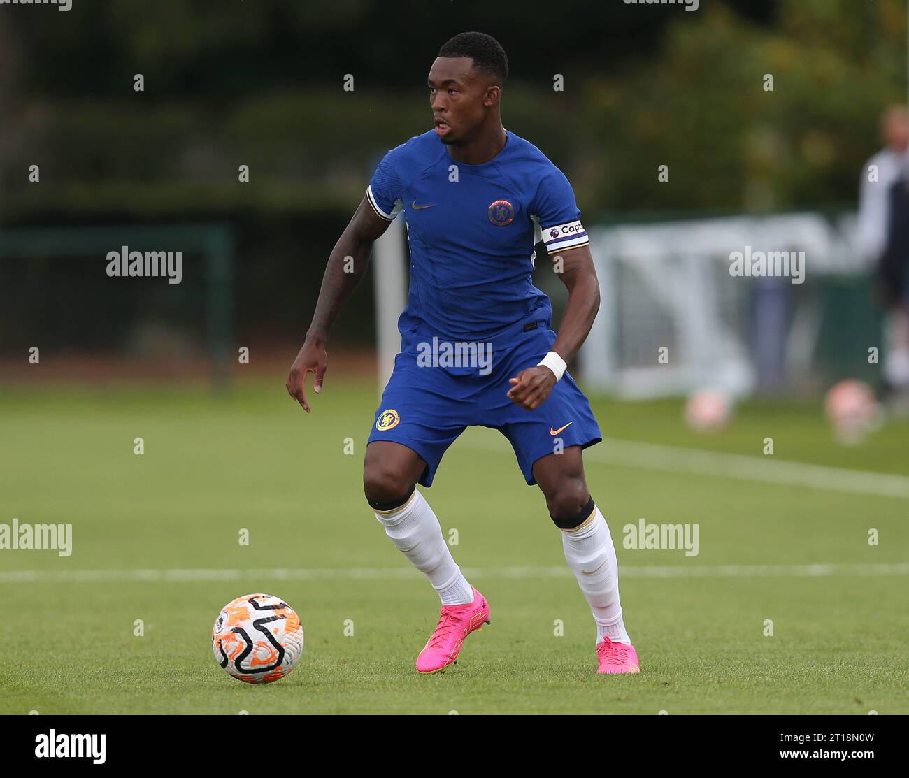 Zak Sturge: An Innovator Driving Sustainable Office Solutions - Vision ...