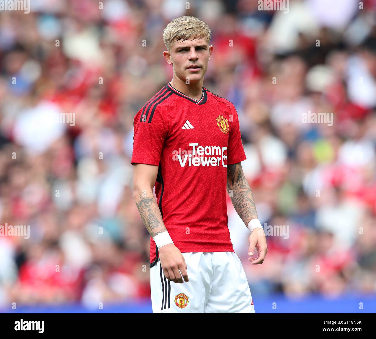 Brandon lyon hi-res stock photography and images - Alamy