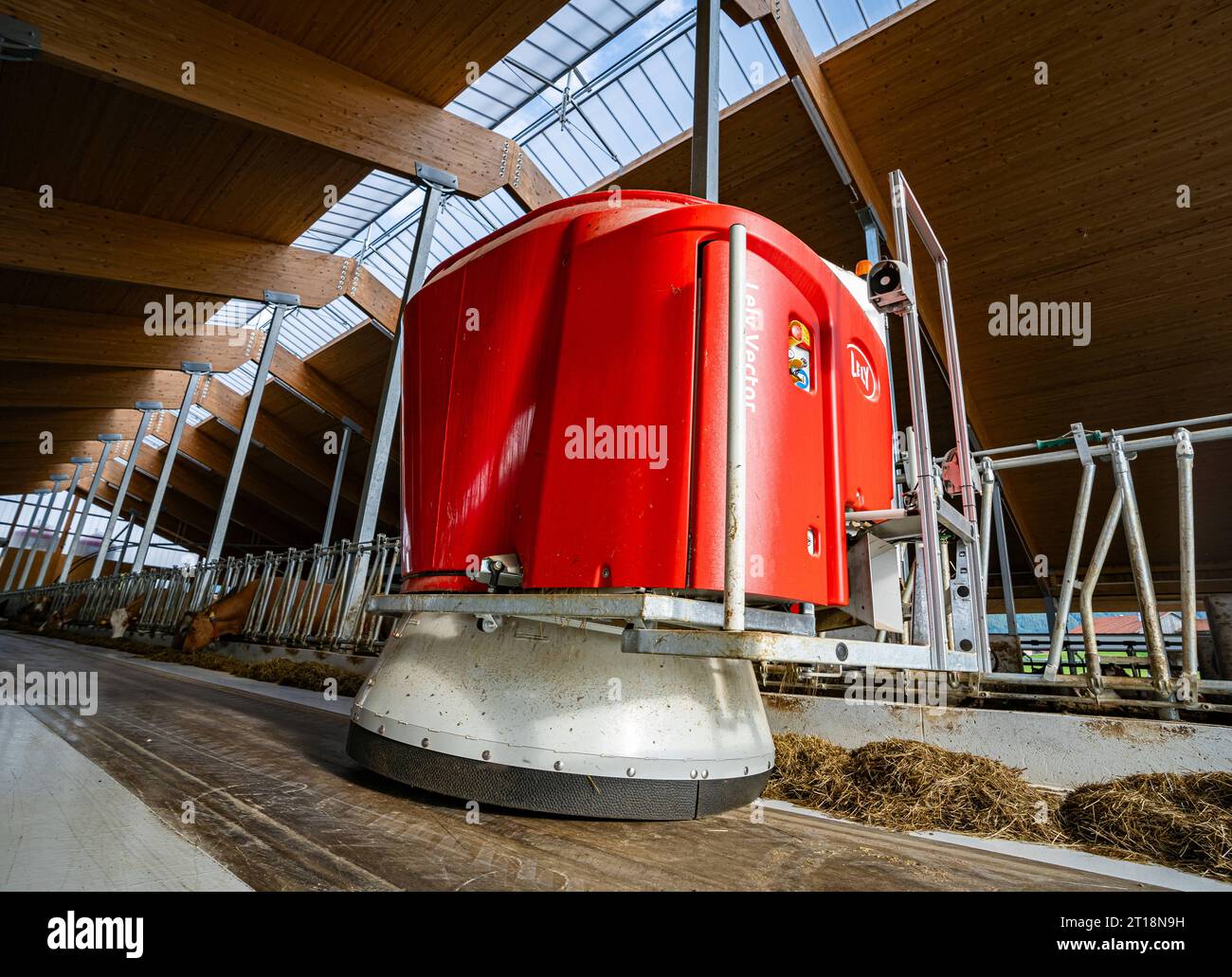 Rindviehfütterung - Lely Vector Fütterungsroboter zieht seine Bahn im ...