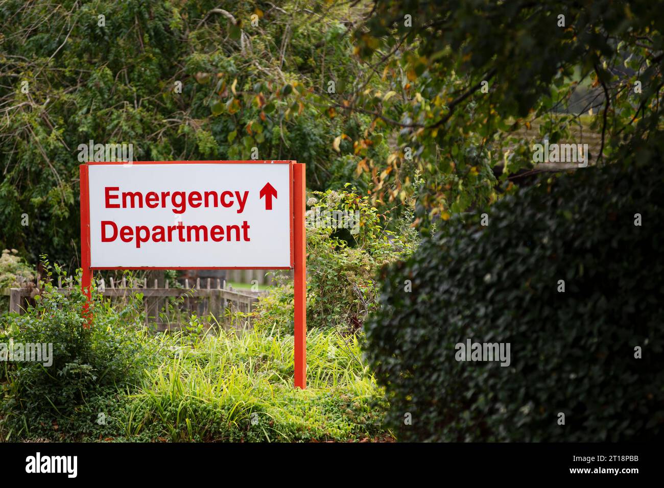 Red Emergency department sign Stock Photo - Alamy