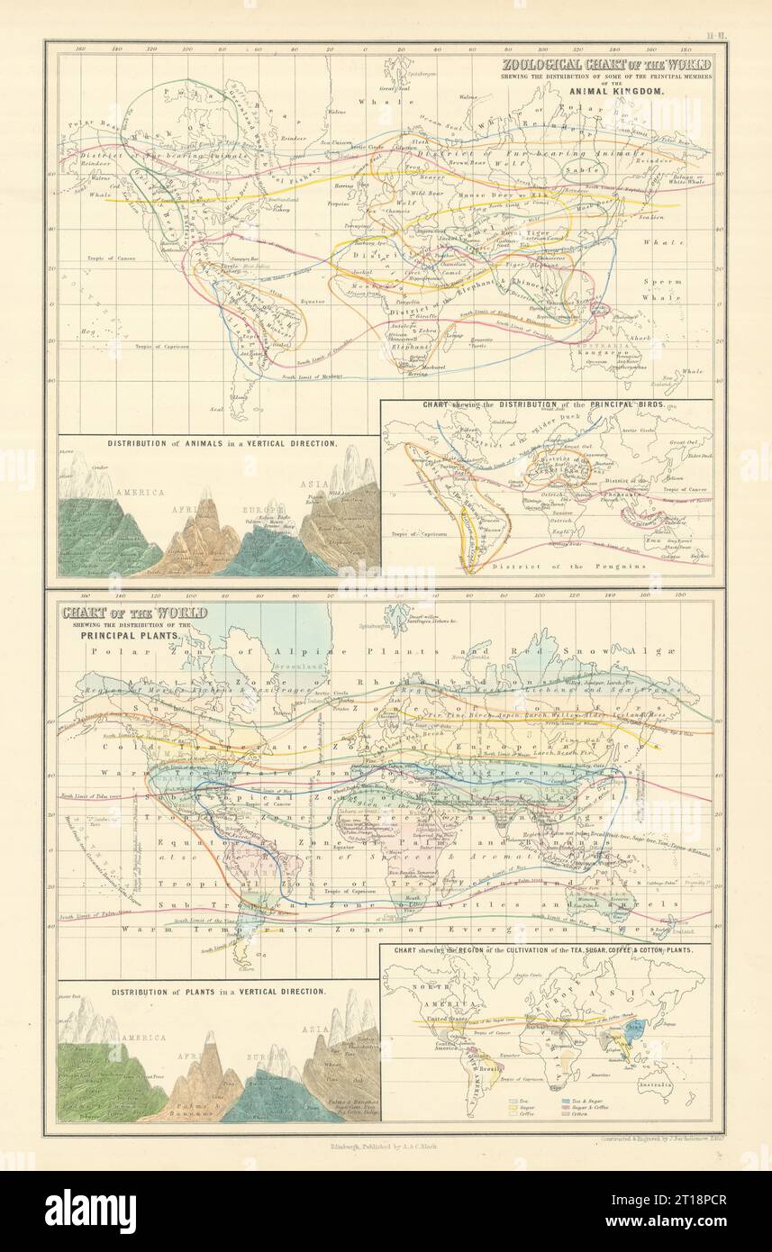 Animal world map hi-res stock photography and images - Alamy