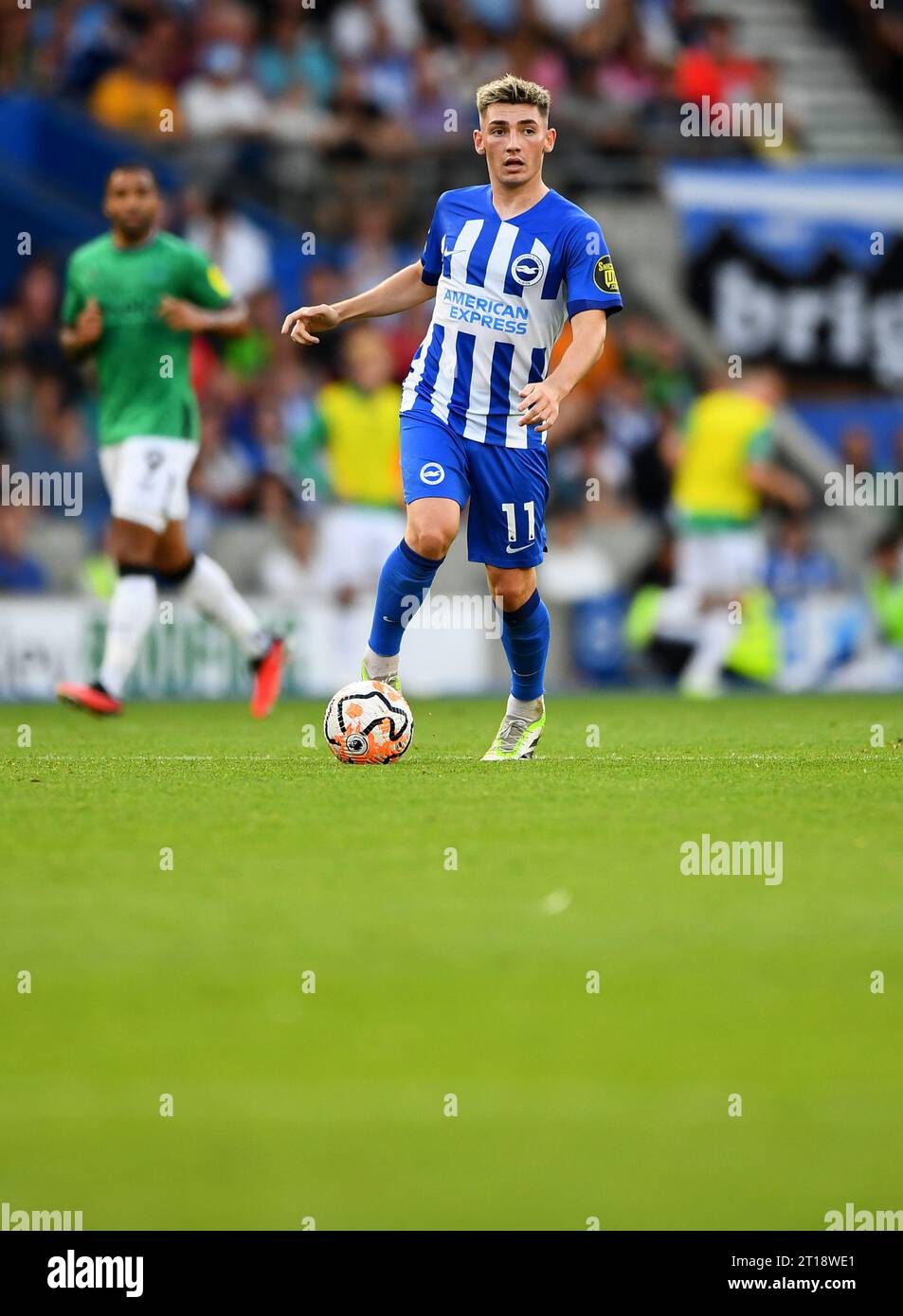 Billy Gilmour of Brighton and Hove Albion - Brighton & Hove Albion v ...