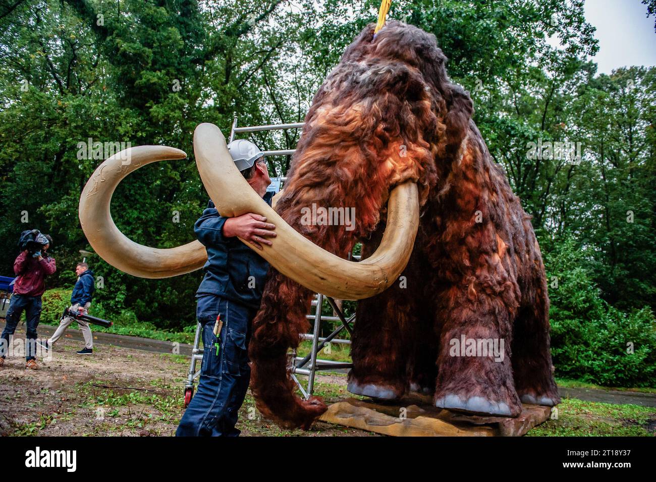 A technician is seen keeping an eye on the head of the animal. This ...