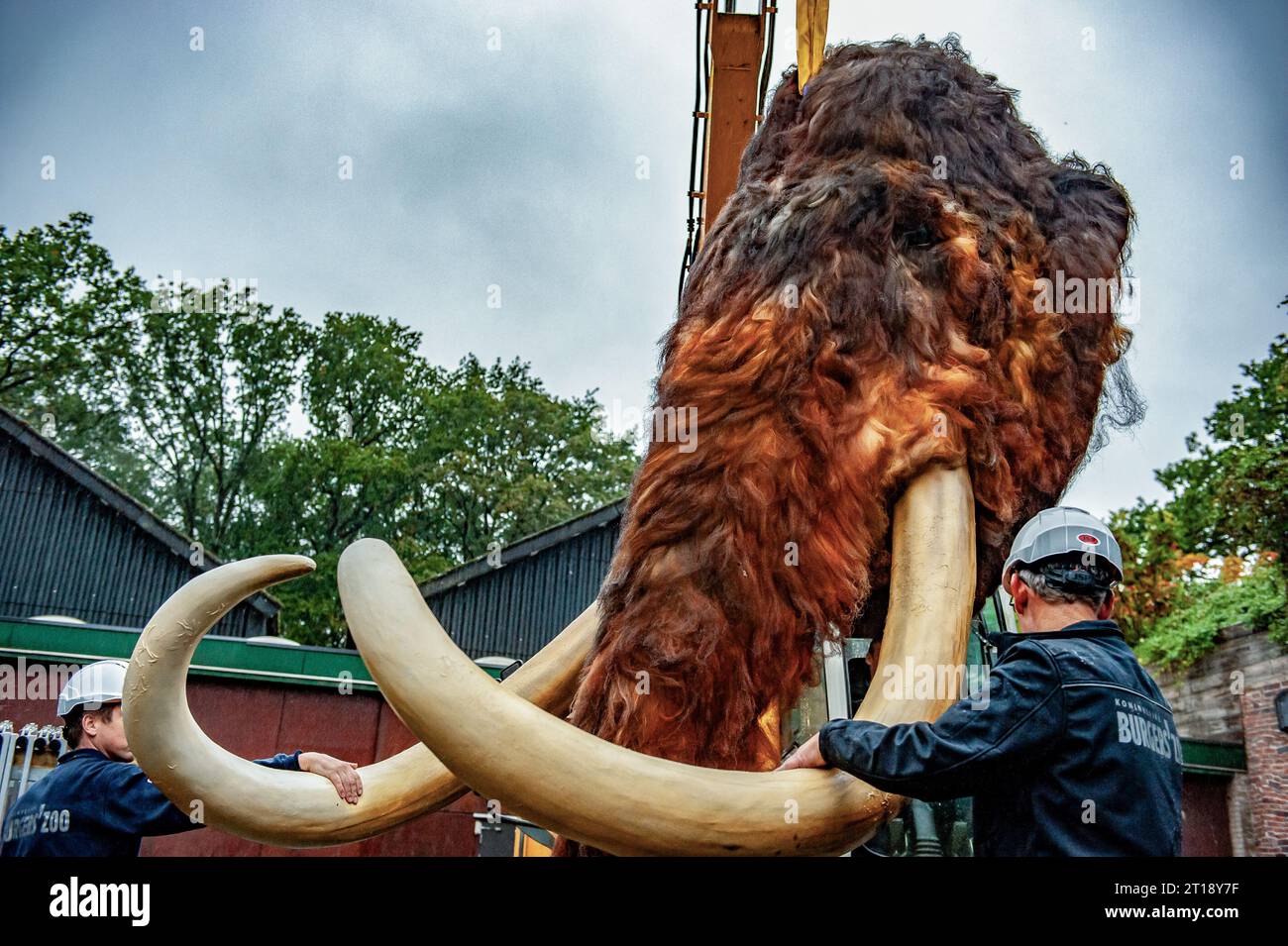 Two technicians are seen keeping an eye on the huge head during its ...