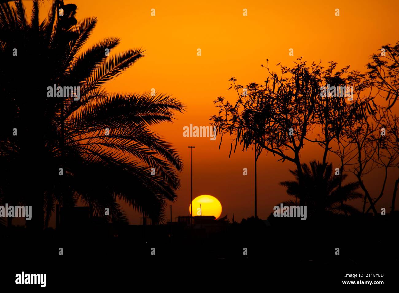 Beautiful Sunset from Dubai Parks with trees shades Stock Photo - Alamy