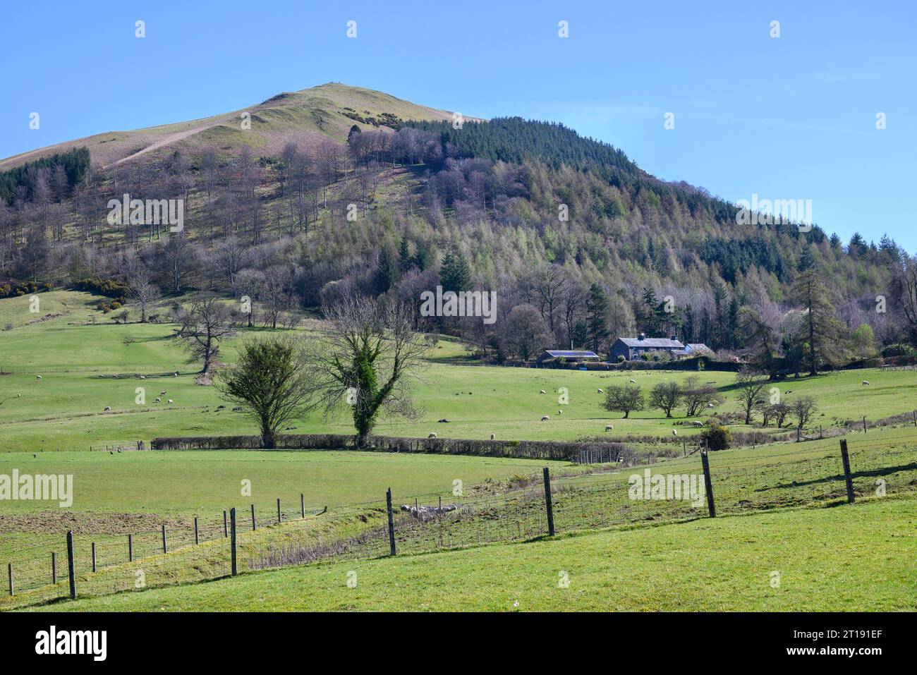Cumbria, England, UK. Typical scene in the North Western Lake District ...