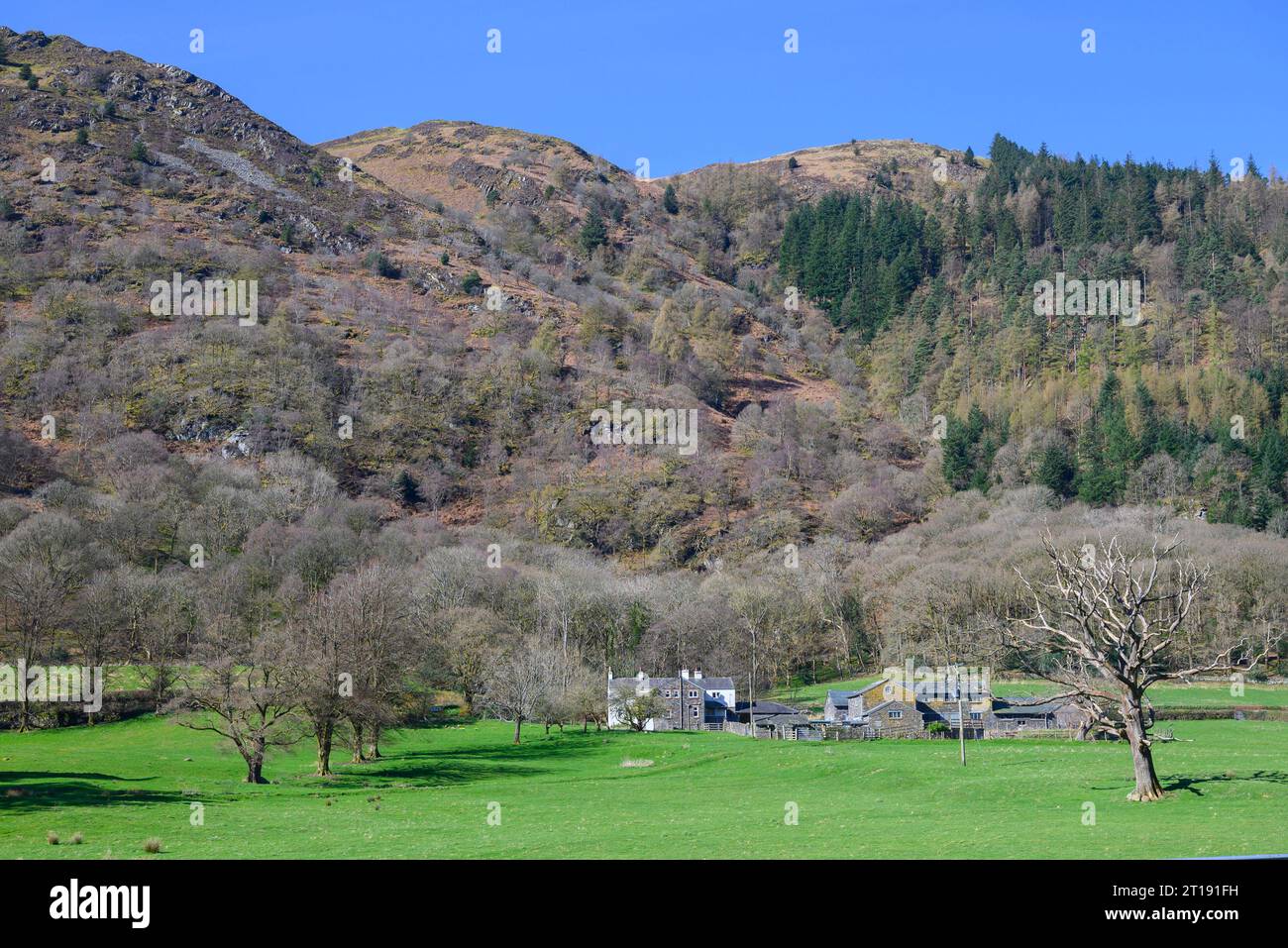 Cumbria, England, UK. Typical scene in the North Western Lake District ...