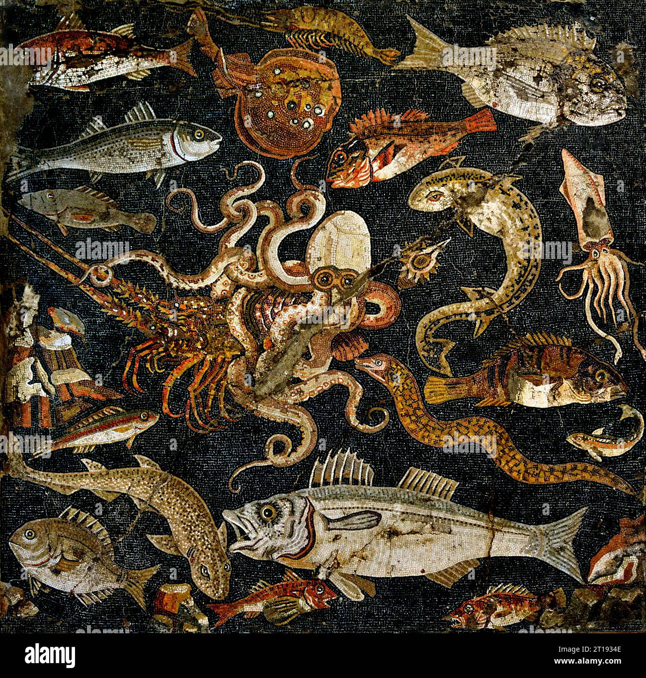 Roman mosaic fish hi-res stock photography and images - Alamy