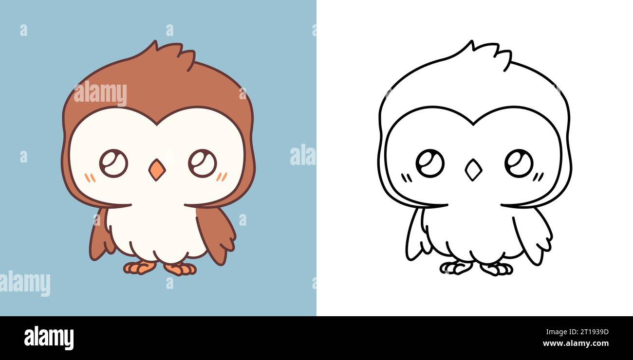 Vector Owl Multicolored and Black and White. Beautiful Clip Art Animal ...