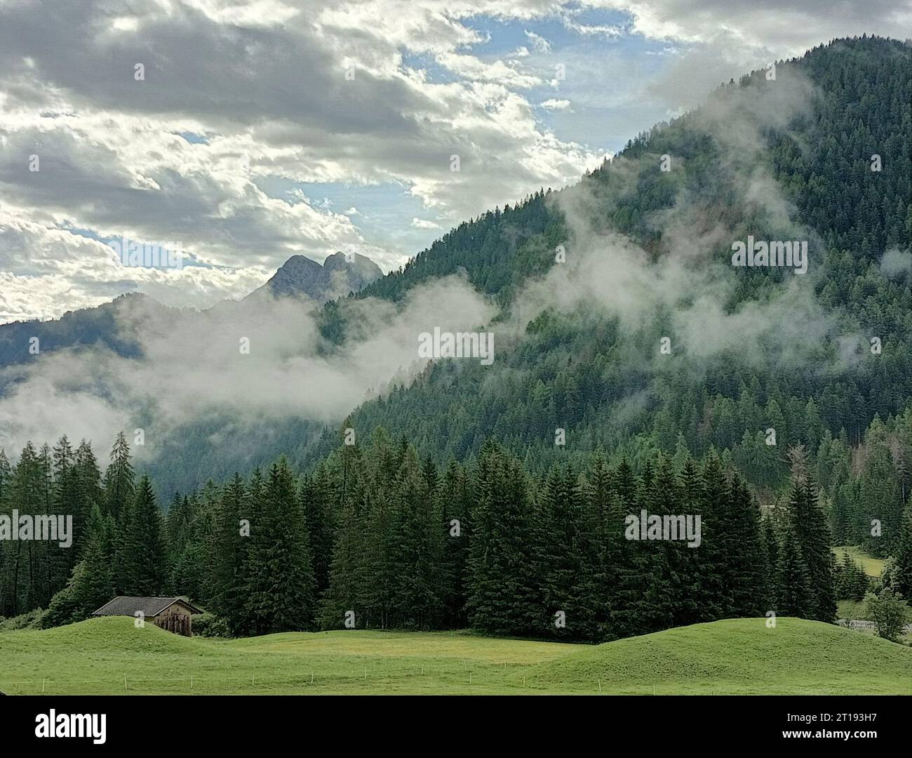 Morning steam over the forests of the Braies valley. Mount Serla alone ...