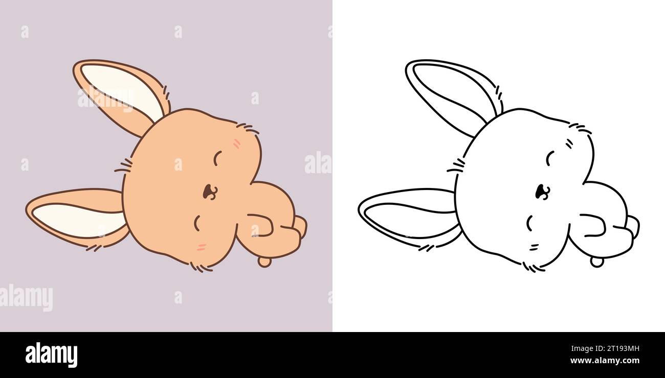 Vector Hare Multicolored and Black and White. Beautiful Clip Art Rabbit ...