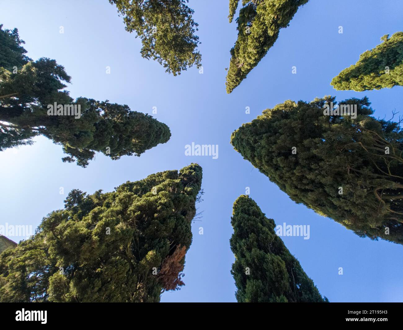 The Pieve of Santa Maria Assunta a Cellole. Church located in Pancole ...