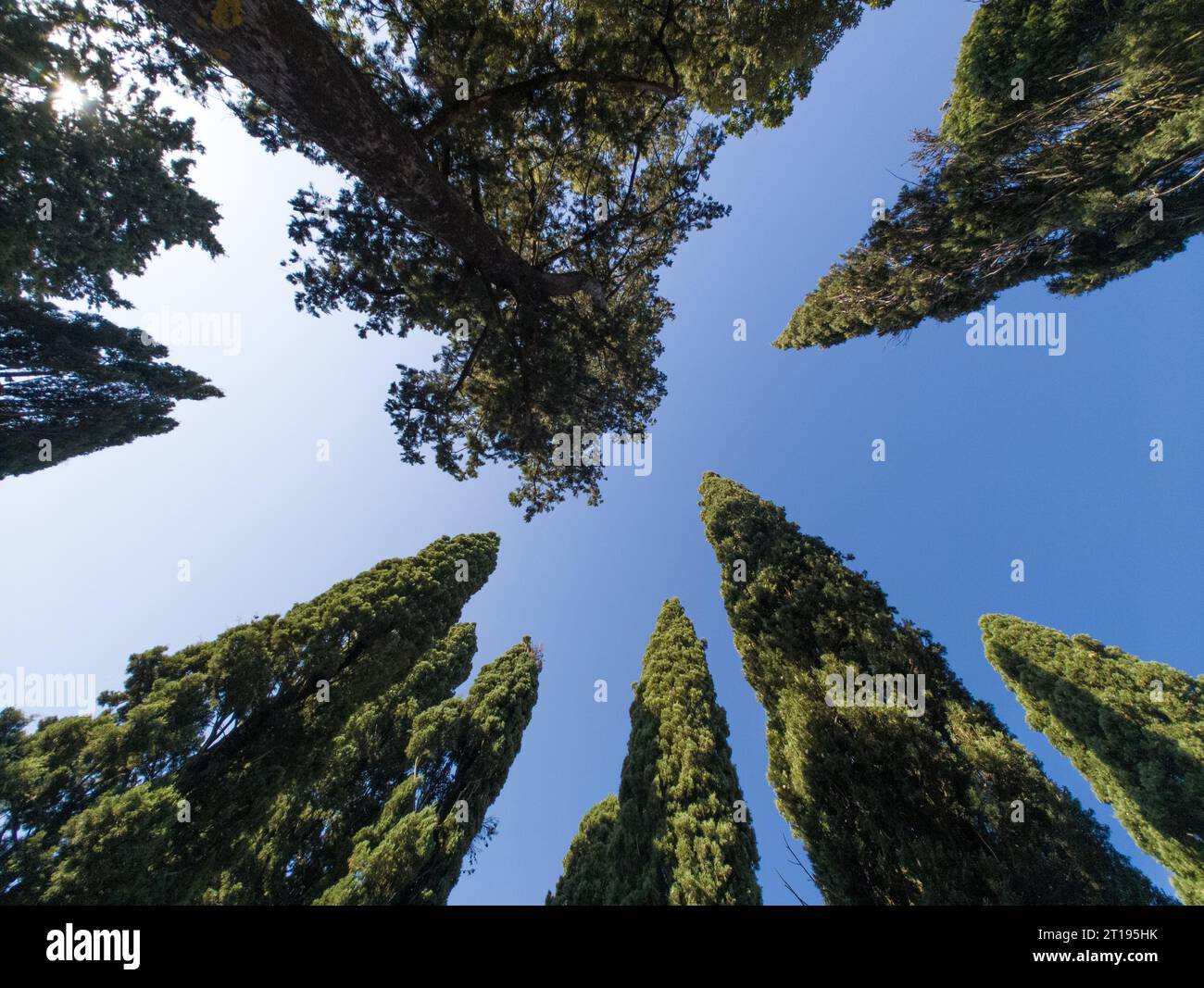 The Pieve of Santa Maria Assunta a Cellole. Church located in Pancole ...