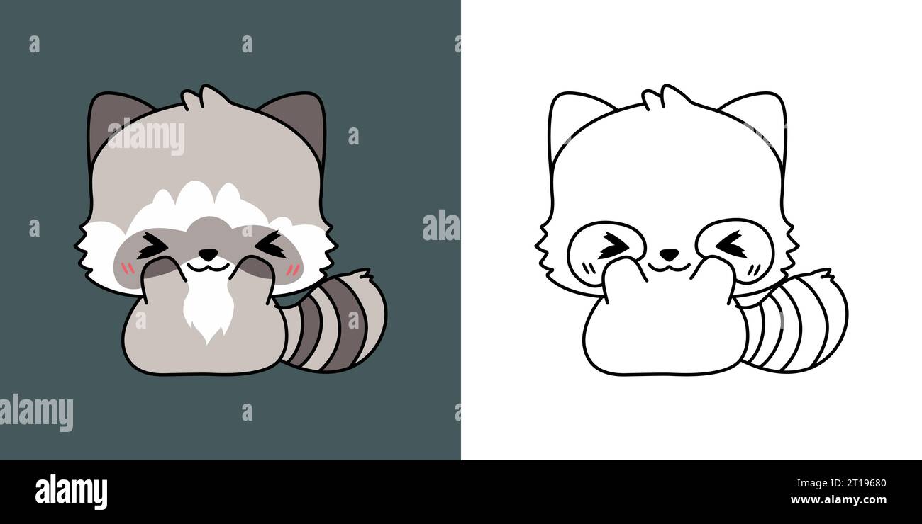 How To Draw A Cute Raccoon