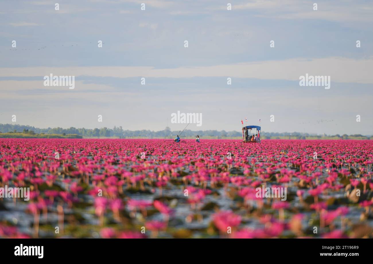 Tourist boat and fishing boat sailing in Red Lotus Sea (Talay Bua Daeng ...