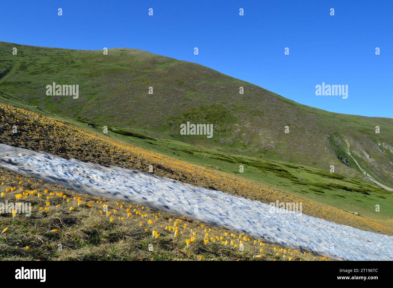 Macedonia sar mountains hi-res stock photography and images - Alamy