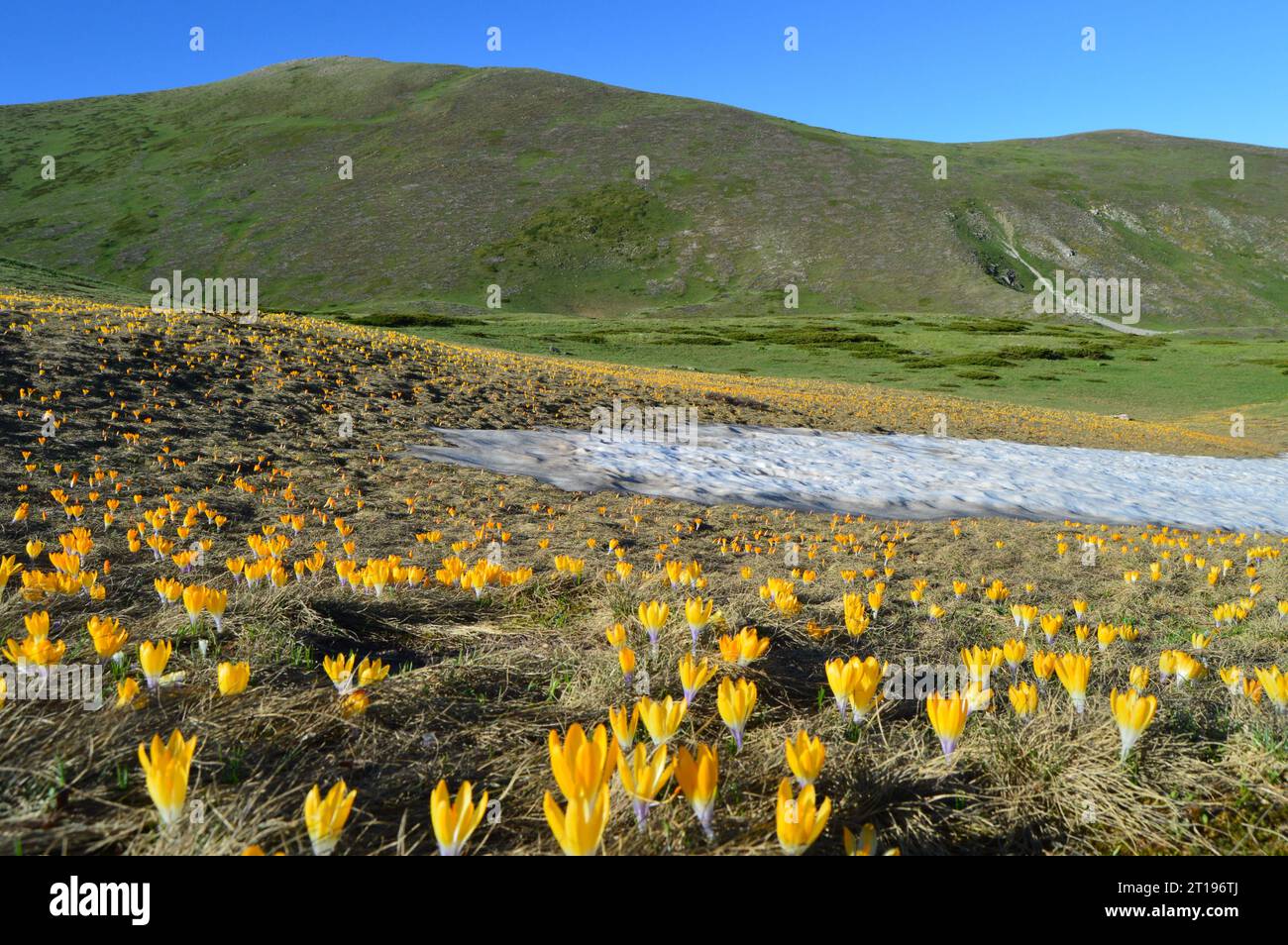 A hiking day on Sar mountain, North Macedonia Stock Photo - Alamy