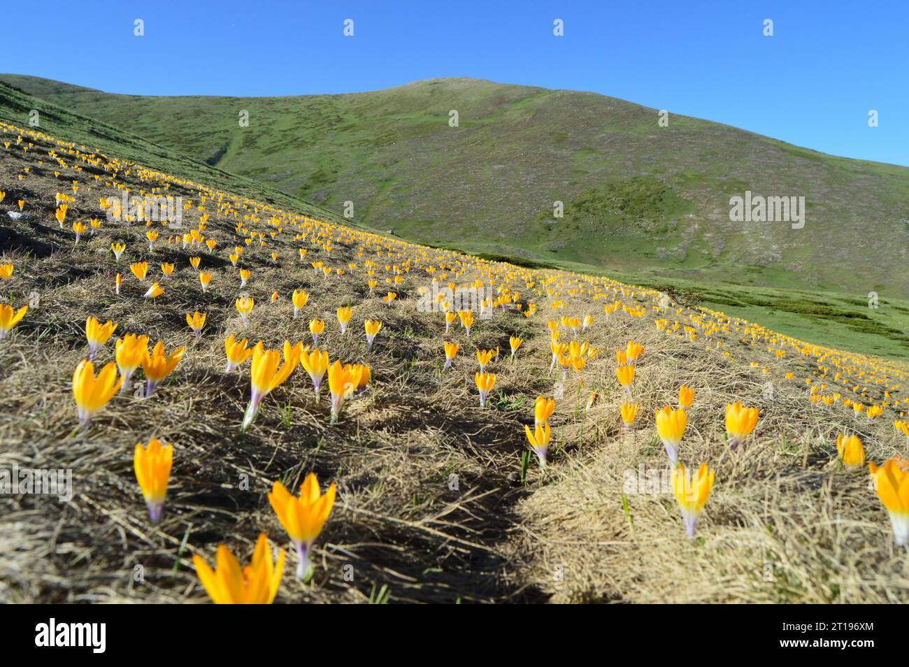 Sar mountain hi-res stock photography and images - Alamy
