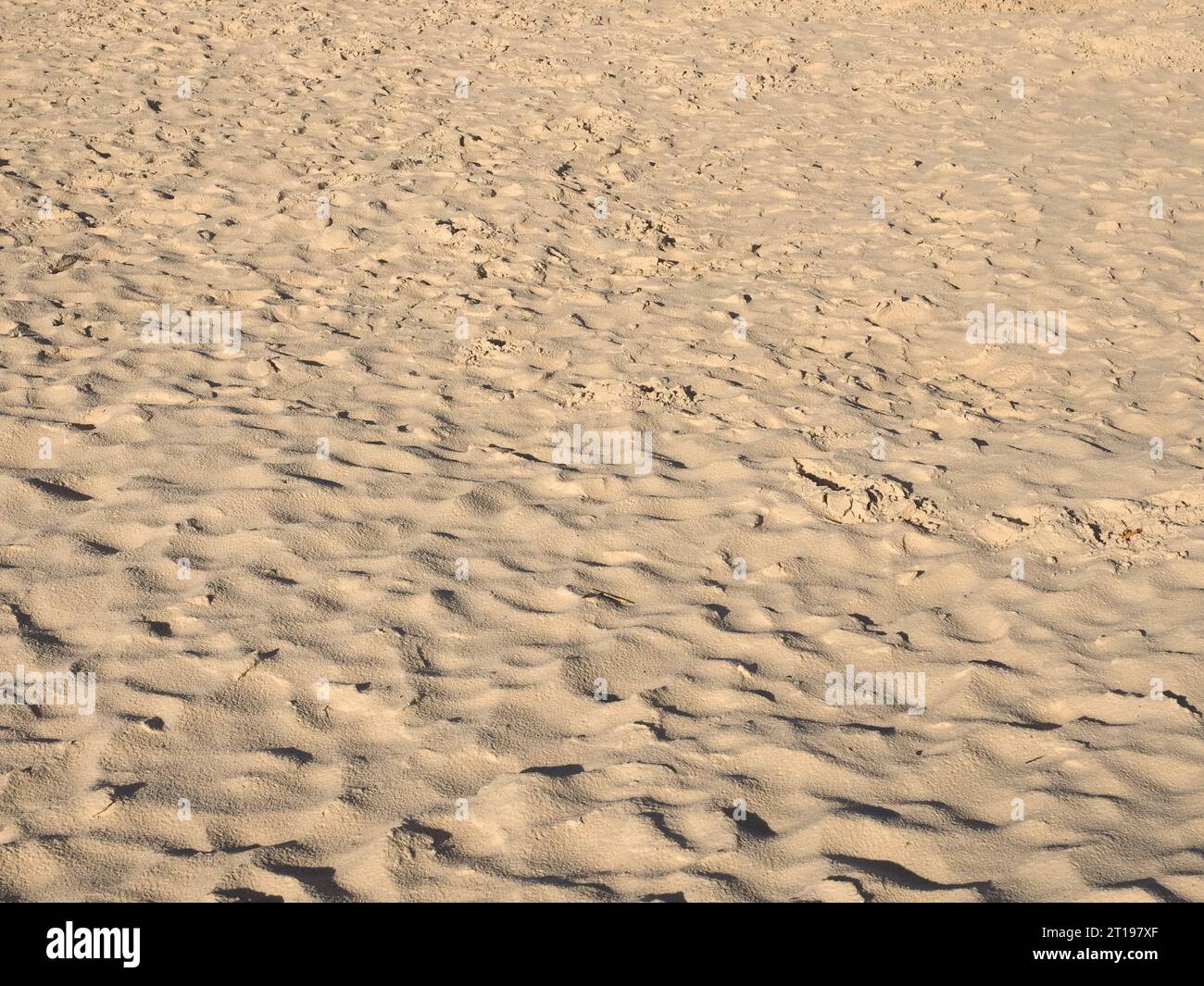 Brown sand texture background hi-res stock photography and images - Alamy