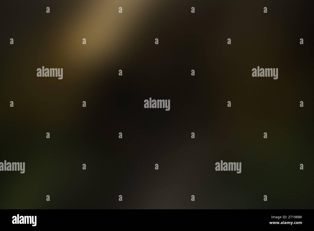 Background blur color texture Stock Photo - Alamy