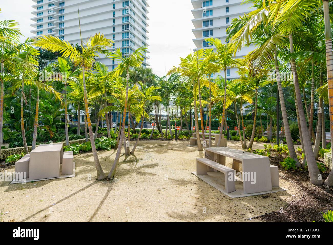 Benches in the park Canopy Park Miami Beach Florida Stock Photo - Alamy