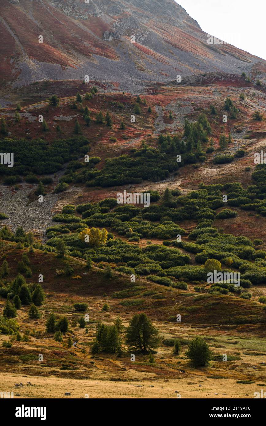 Mont Genevre pass route, italian/french alps Stock Photo - Alamy