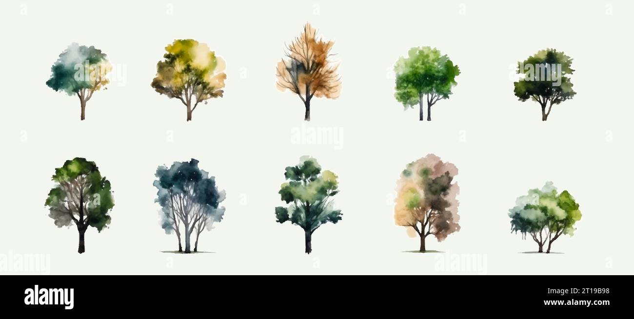Set of different trees watercolour, isolated on white background ...