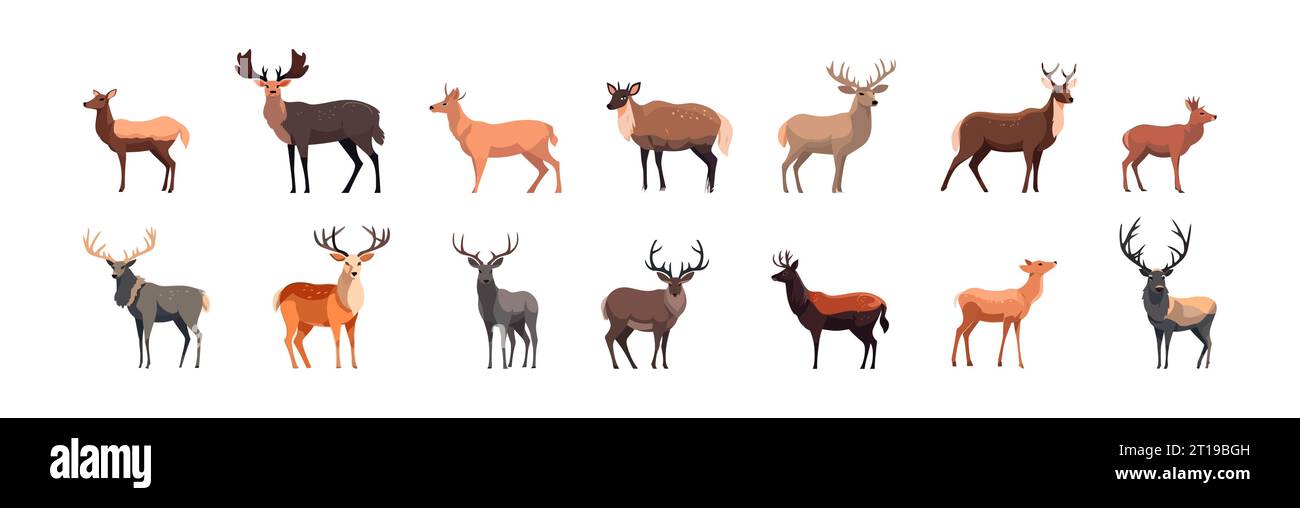 Set of deer, flat cartoon isolated on white background. Vector ...