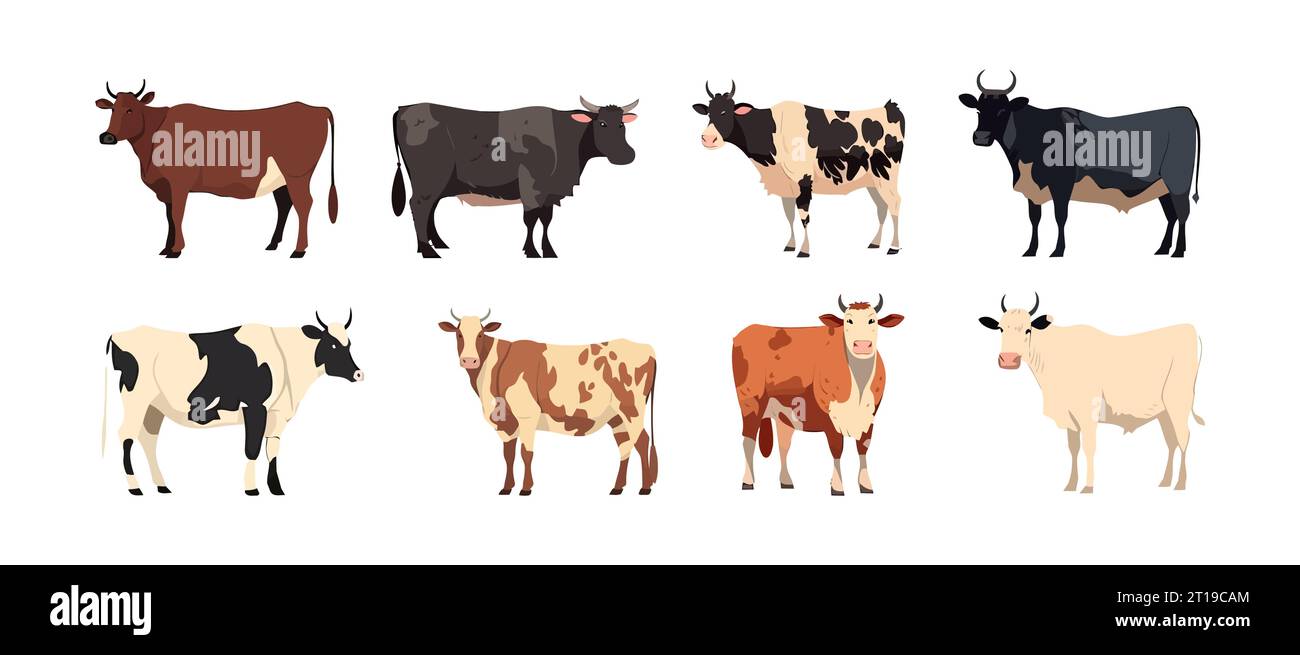 Cow, farm animal set flat cartoon isolated on white background. Vector ...