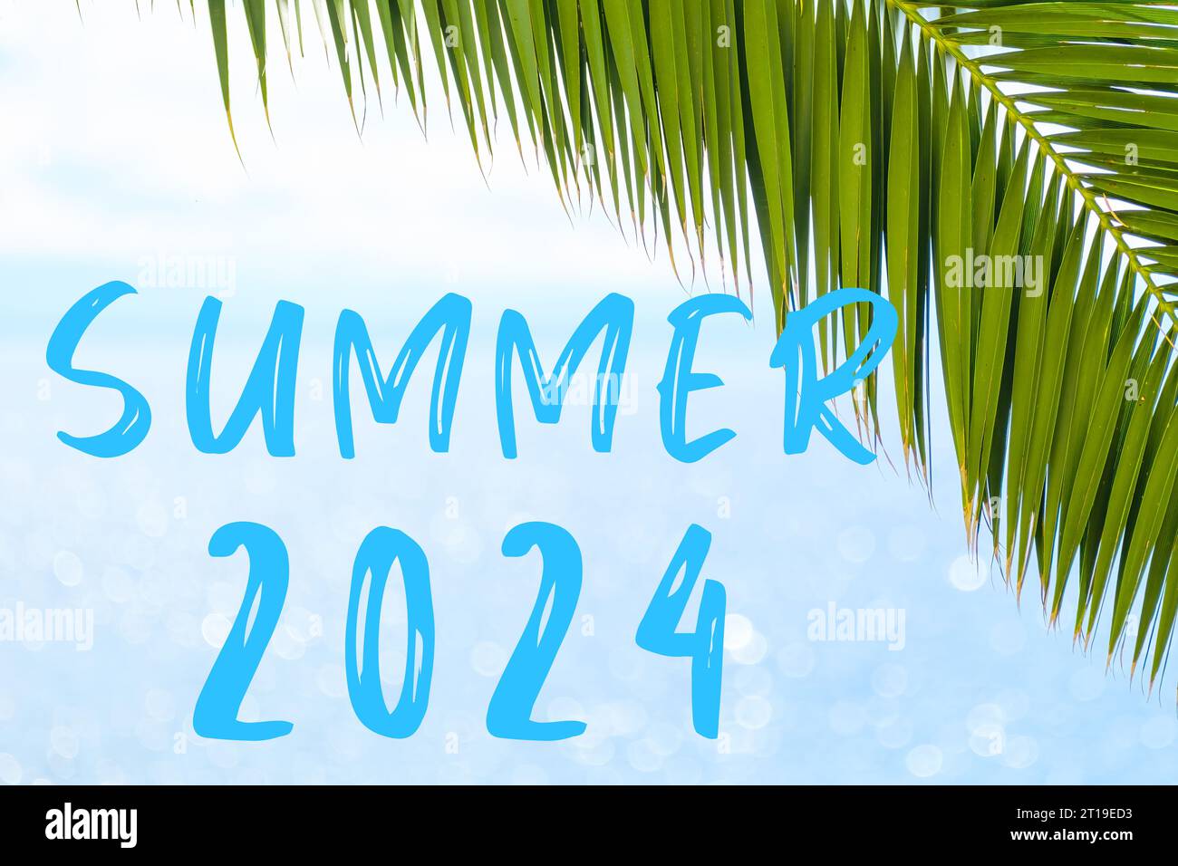 Summer 2024 text on the background with palm leaf and blue sea ...