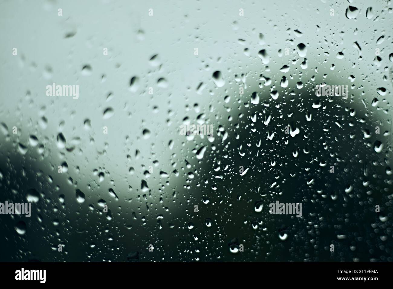 Rain drops on window, with trees and leaves outside. selective focus ...