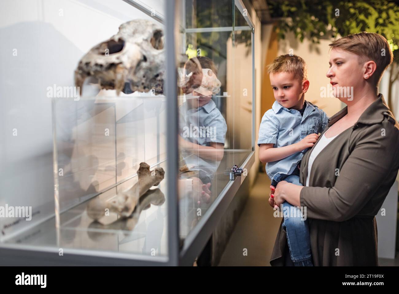 Curious little boy in his mothers arms looking at an animal skeleton in ...