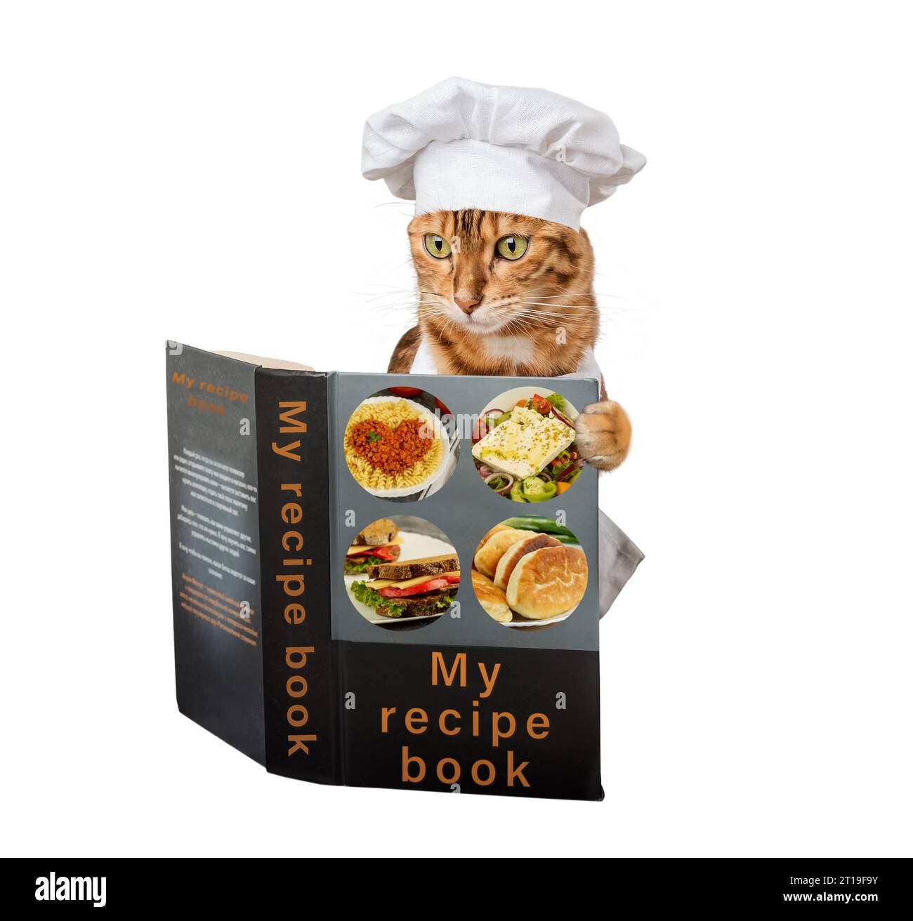 Cat cook with a cookbook on a white background. Chef cat isolated Stock ...
