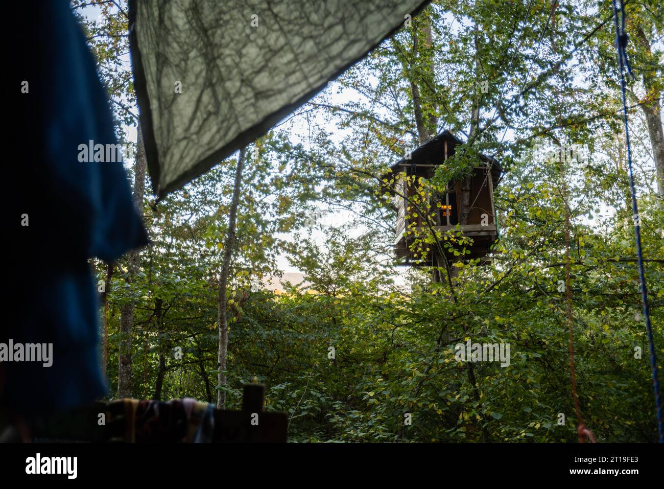 Freiburg, Germany. 11th Oct, 2023. A tree house can be seen from ...