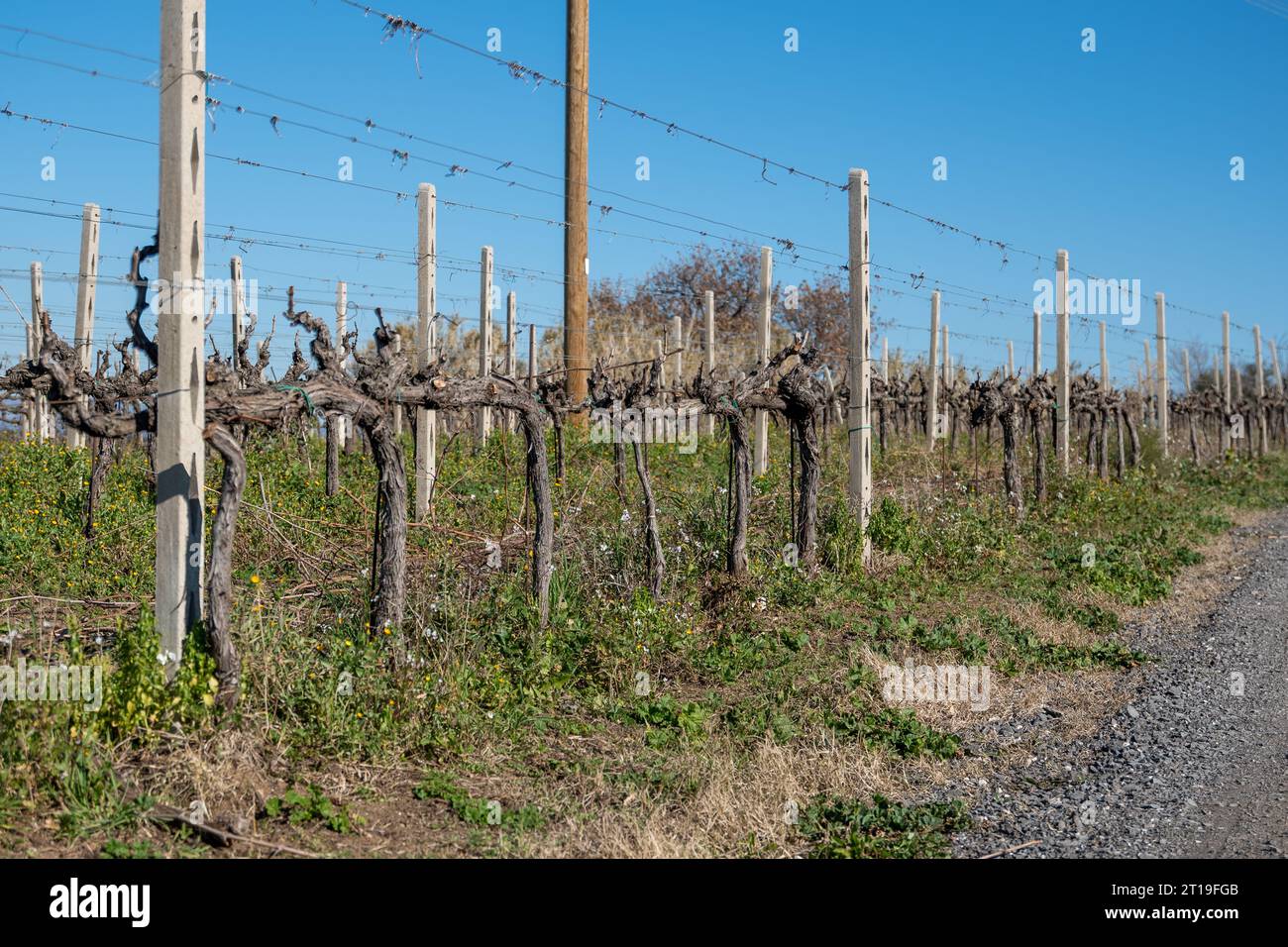 Italy frascati restaurant hi-res stock photography and images - Alamy