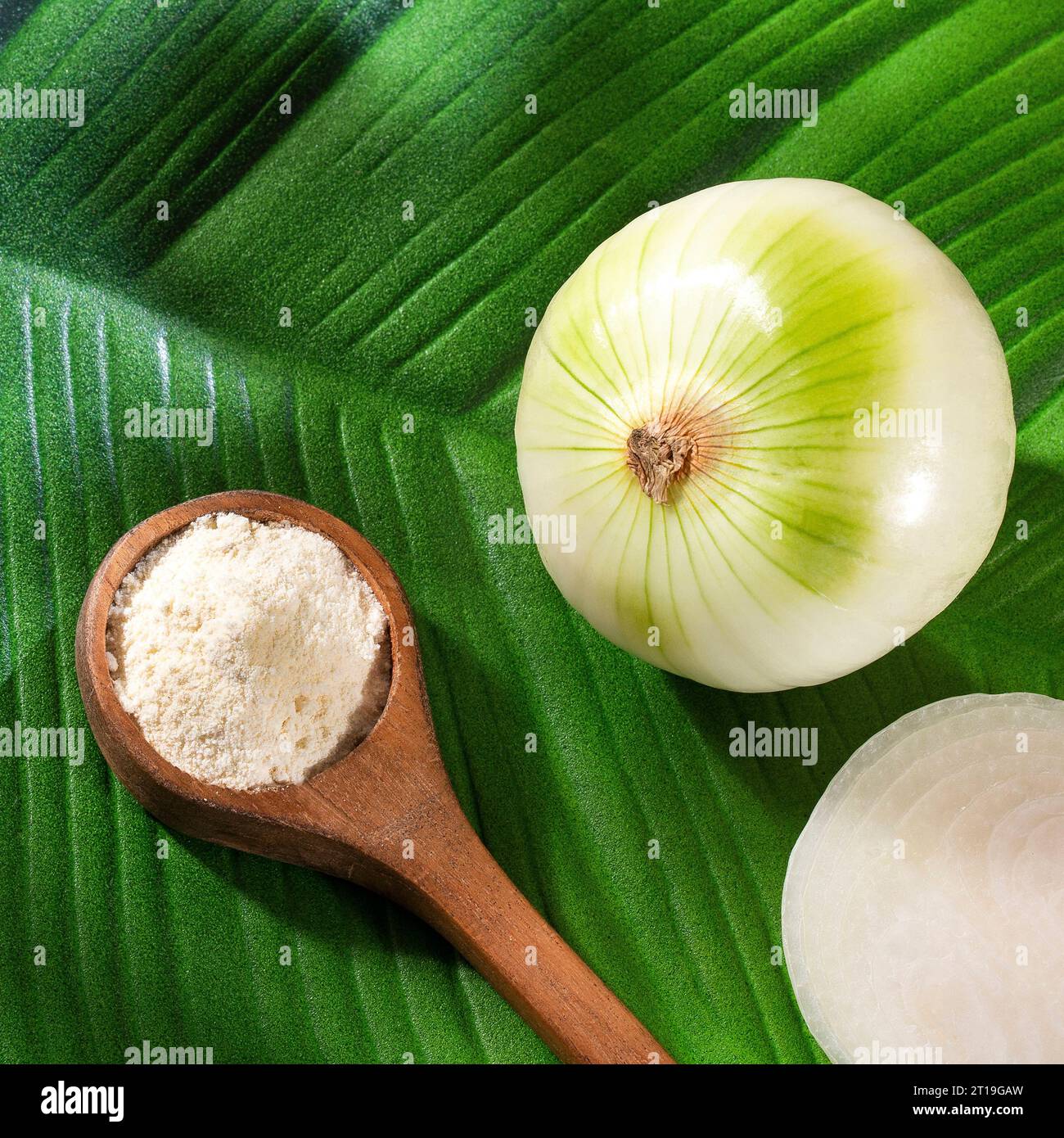 Allium cepa - Dried white onion powder Stock Photo - Alamy