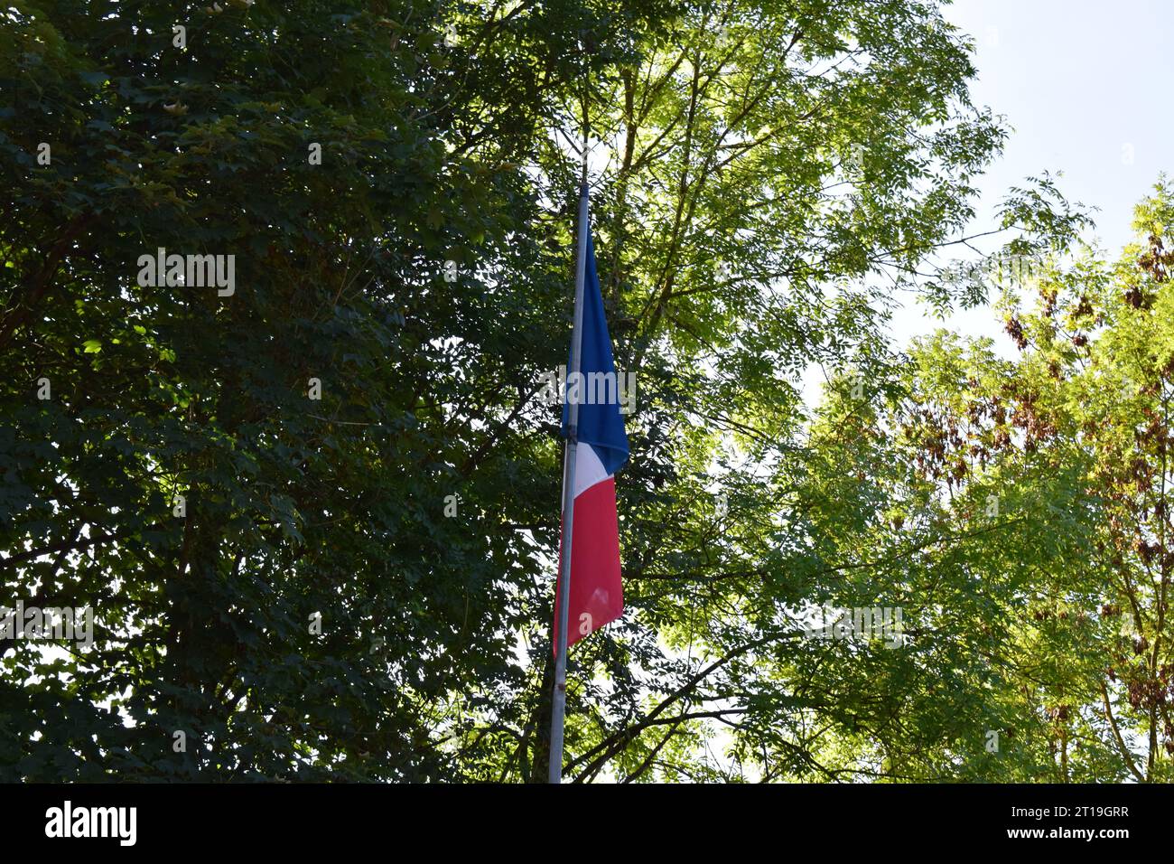 French flag hanging down Stock Photo - Alamy