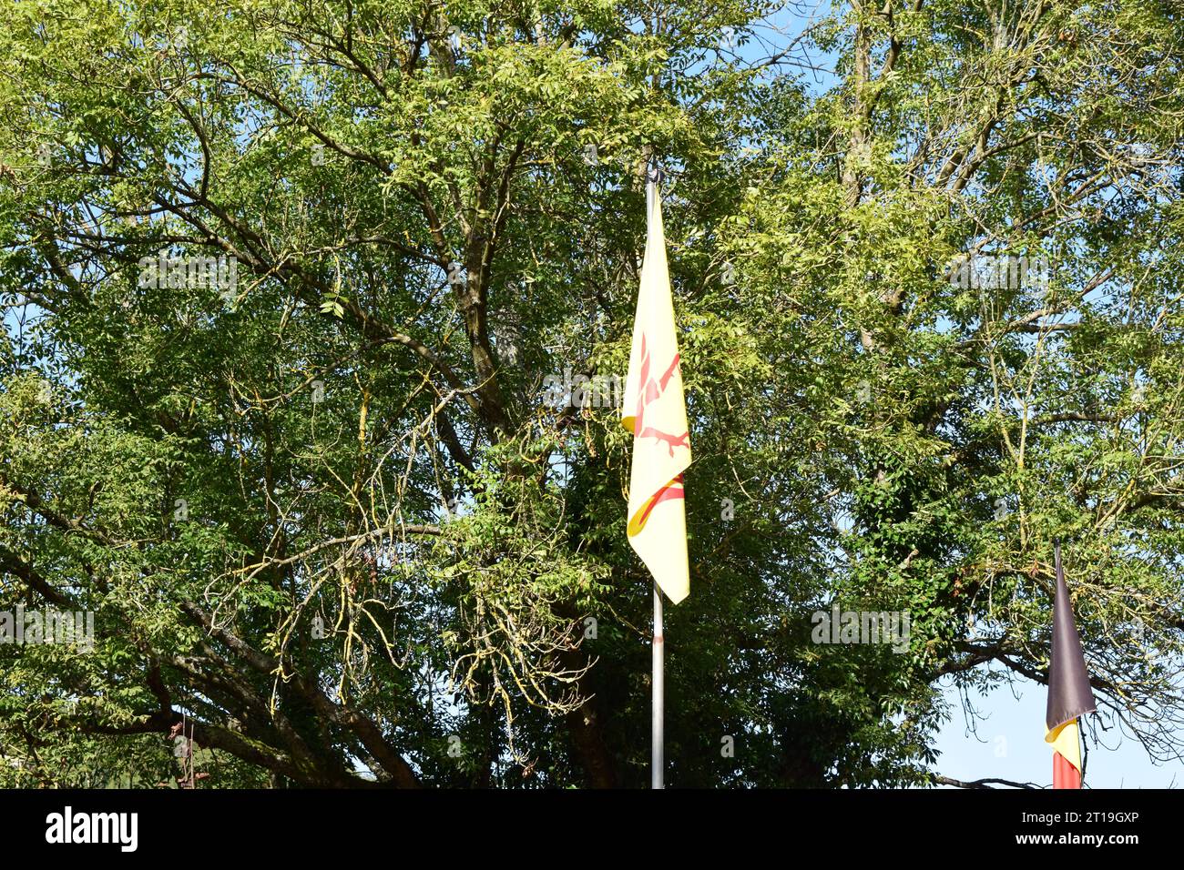 Wallonia regional flag hi-res stock photography and images - Alamy
