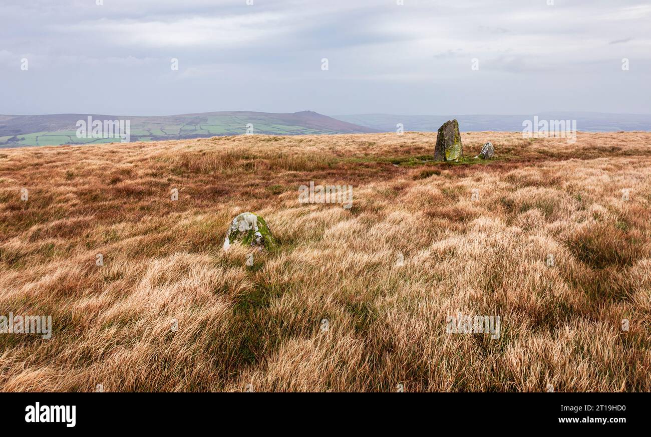 Preseli hills wales hi-res stock photography and images - Alamy