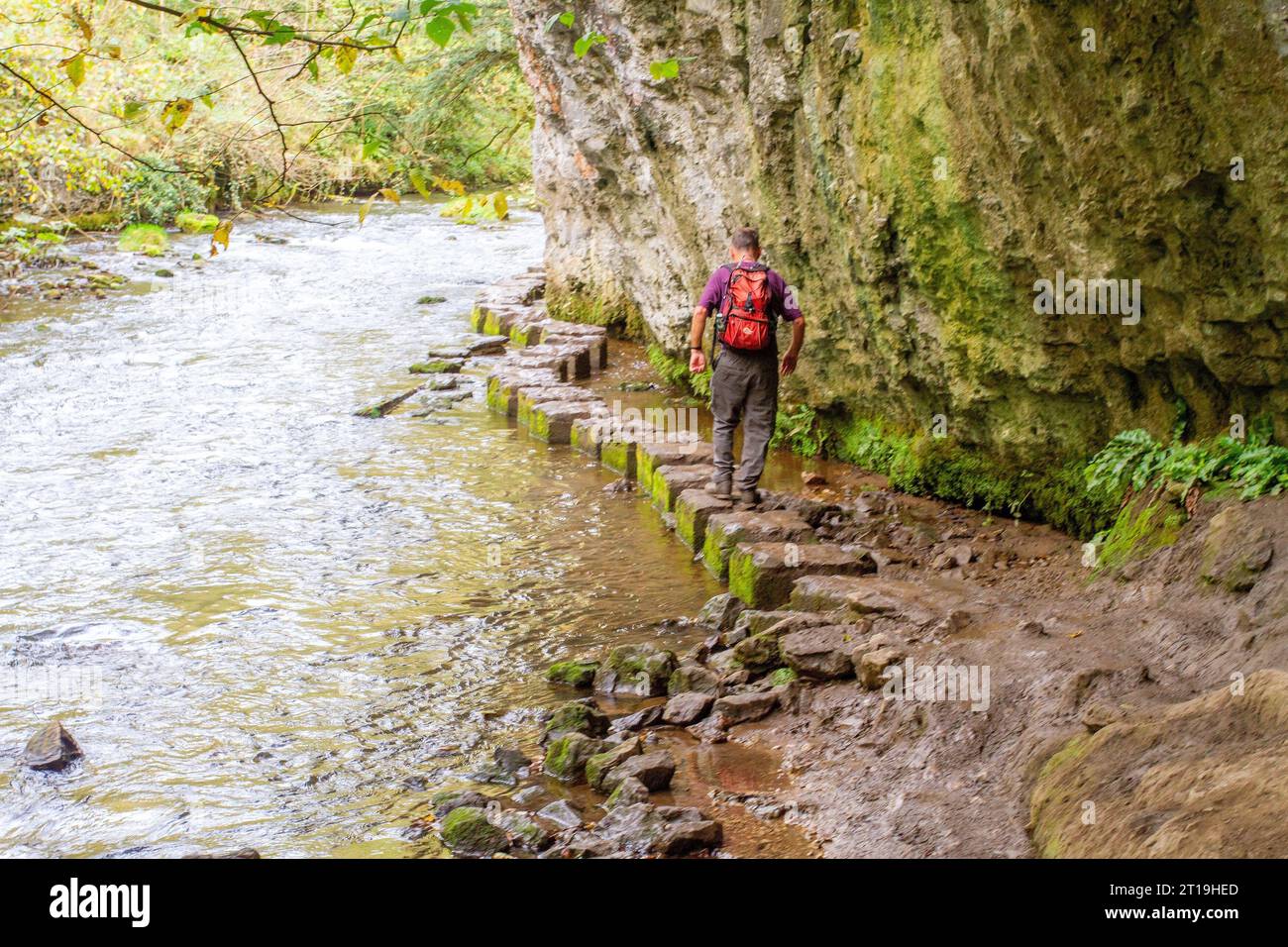 Man walking on the stepping stones in the river Wye while walking ...