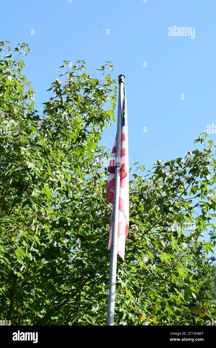 hanging down American flag Stock Photo - Alamy