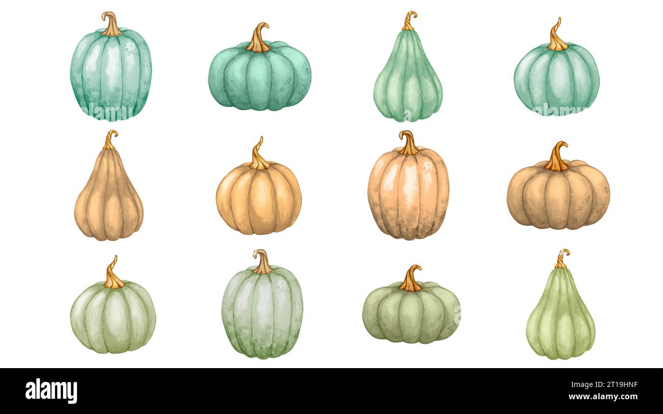 Large set of pumpkins of various shapes in pastel colors. Watercolor ...