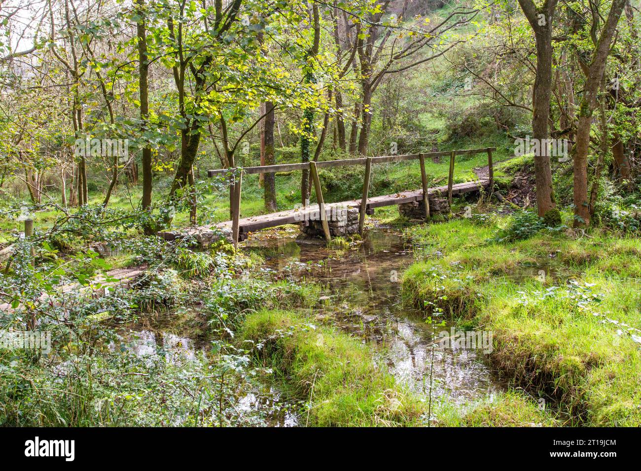 Wooden footbridge at the Miller's Dale end of Monk's Dale nature ...